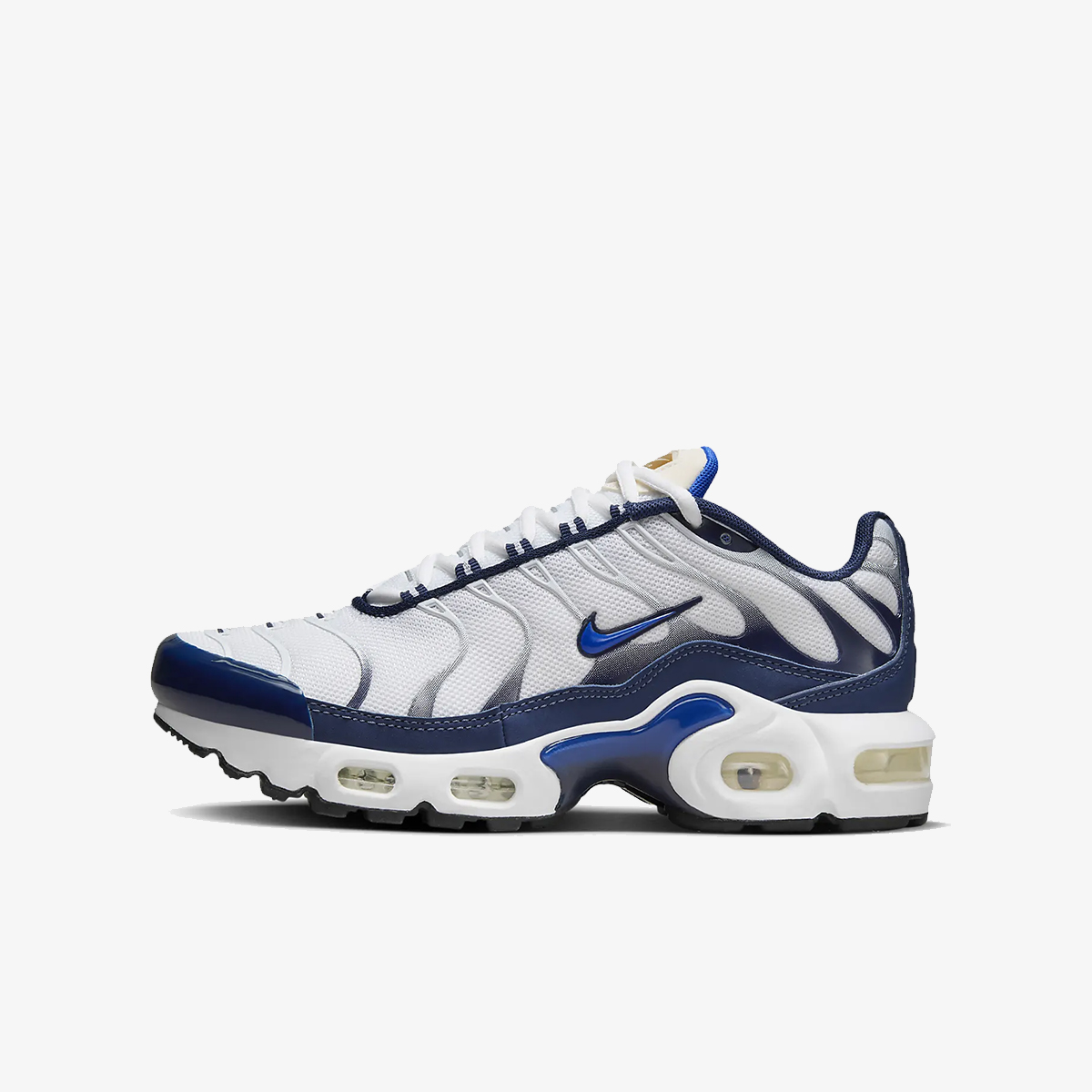 Nike Proizvodi AIR MAX PLUS BG | Buzz Sneaker Station - Online Shop