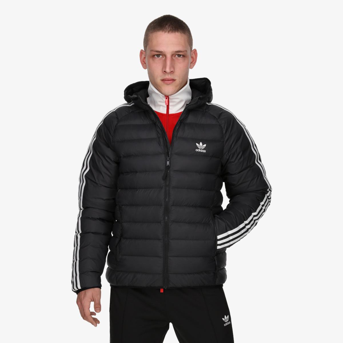 adidas Jakna PADED PUFFER | Buzz Sneaker Station - Online Shop